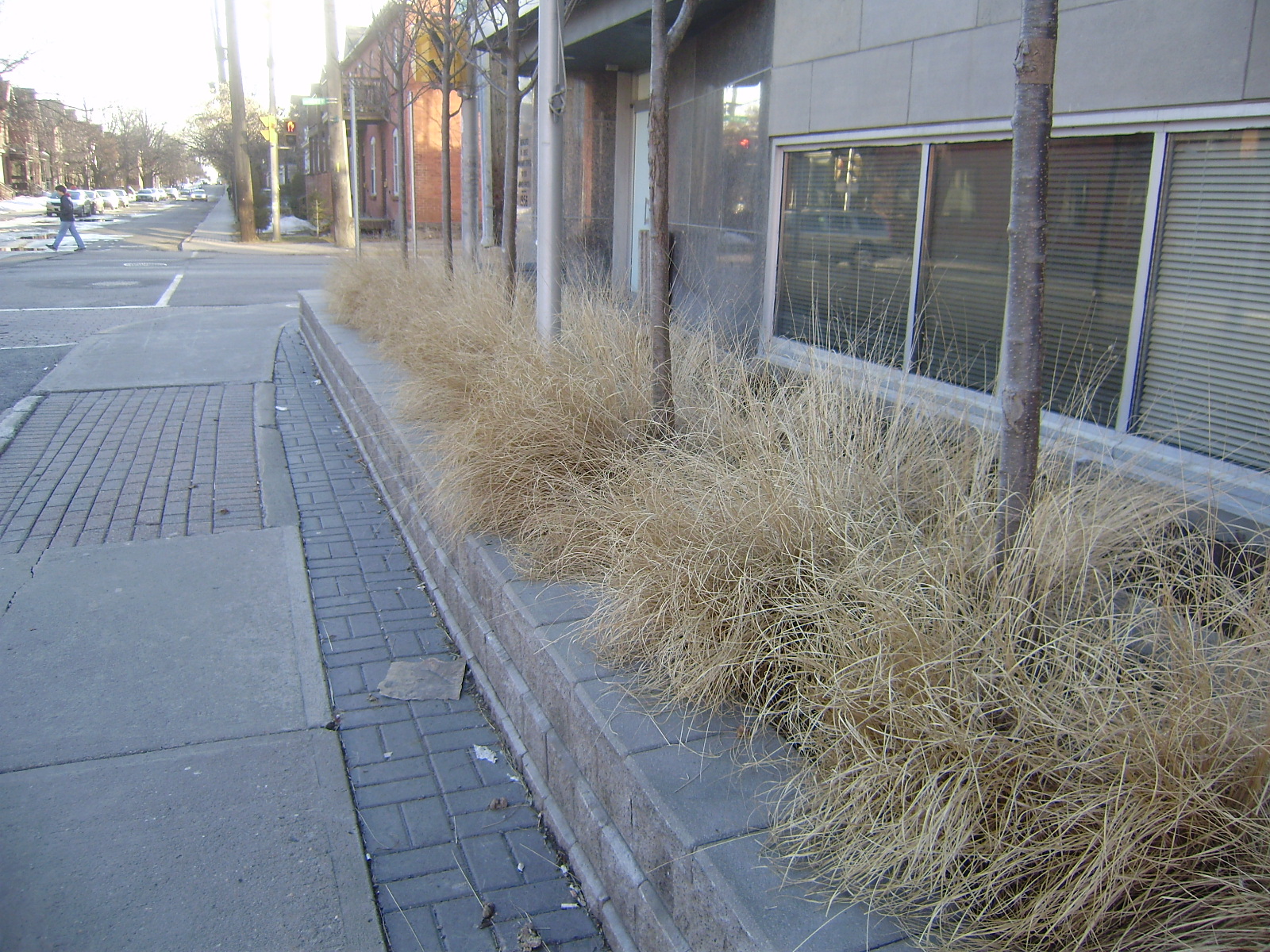 Good sidewalk environment - West Side Action