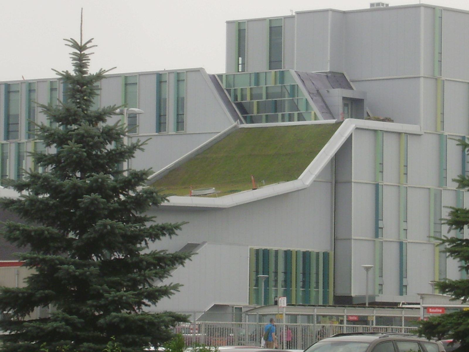 Green Roof at College Square - West Side Action
