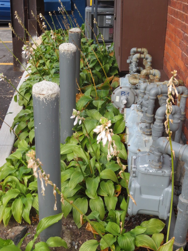 One small victory - West Side Action