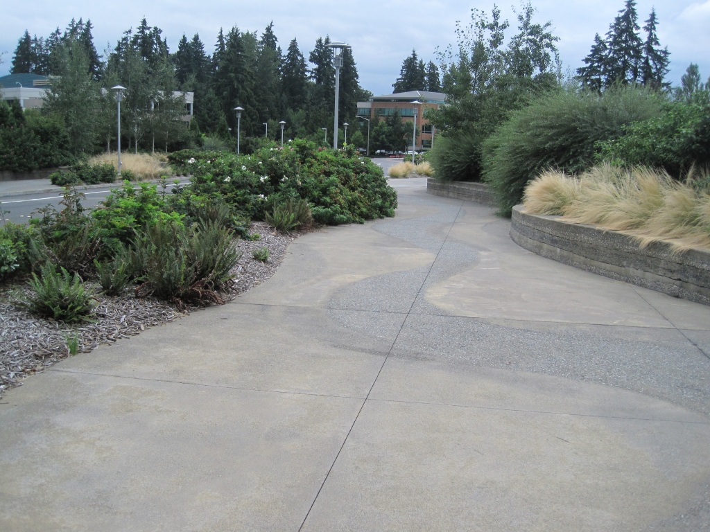 Seeing Seattle (xi) sidewalks you'll never see in Ottawa - West Side Action