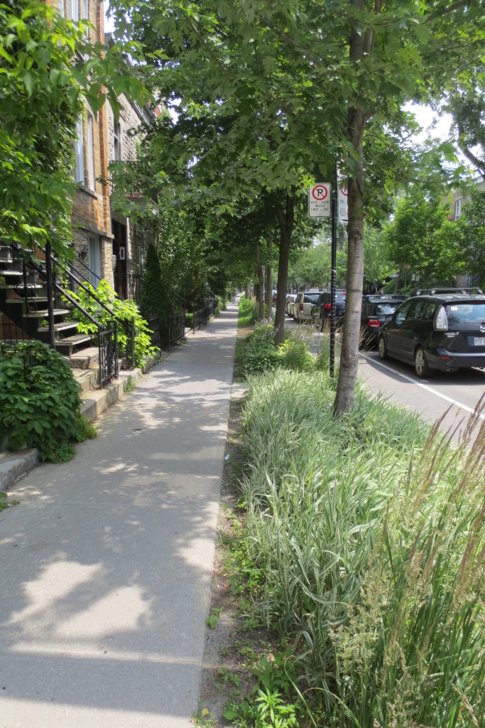 Montreal week: curb side planting strips - West Side Action
